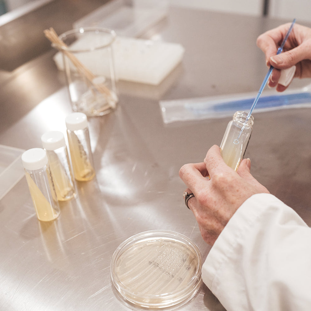 Darwin Biological | Educational Specimens and Equipment