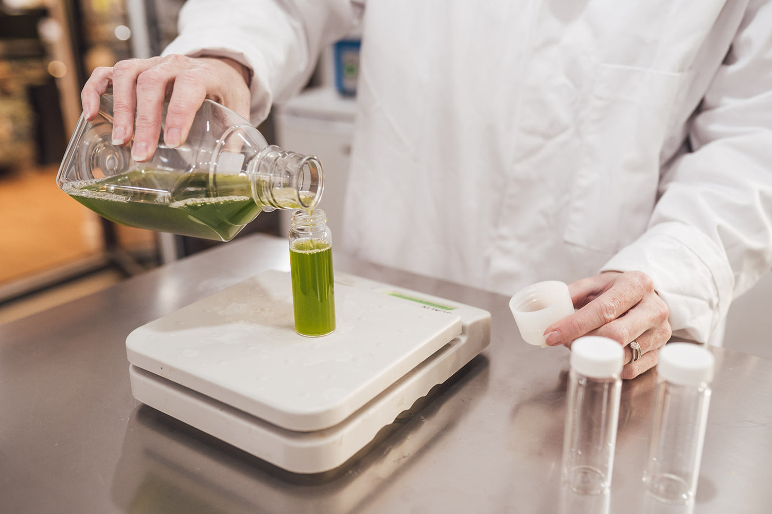 Botany | Darwin Biological