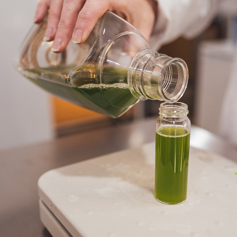 Darwin Biological | Educational Specimens and Equipment