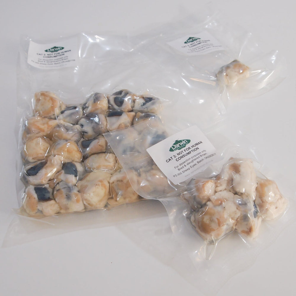 Darwin Biological | Educational Specimens and Equipment