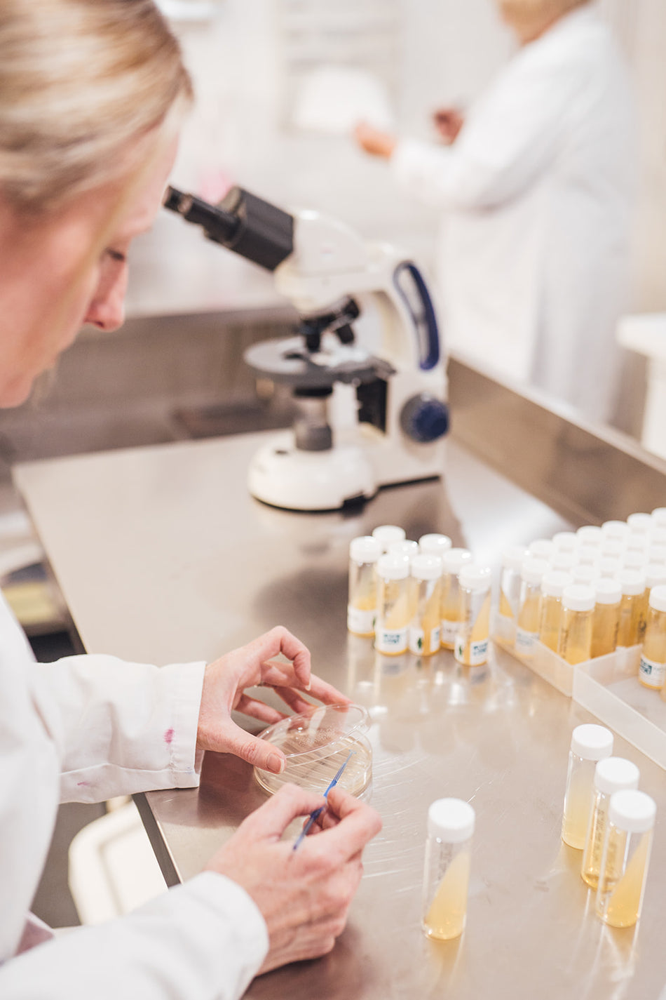 PTC Taste Test Strips | Biology Supplies - Darwin Biological