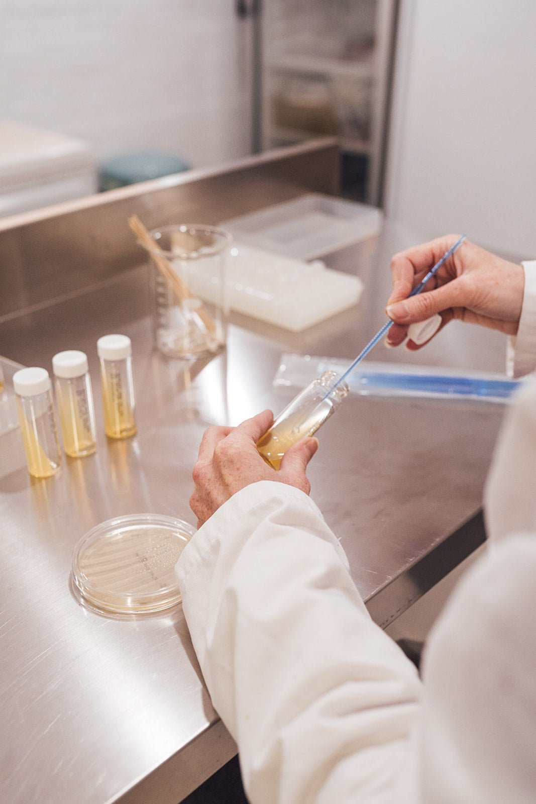 Frozen Specimens | Darwin Biological