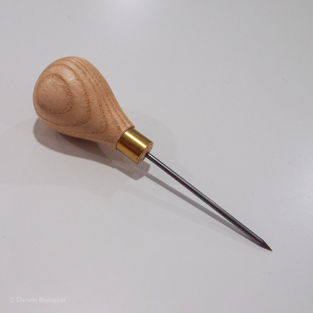 Awl | Biology Supplies - Darwin Biological