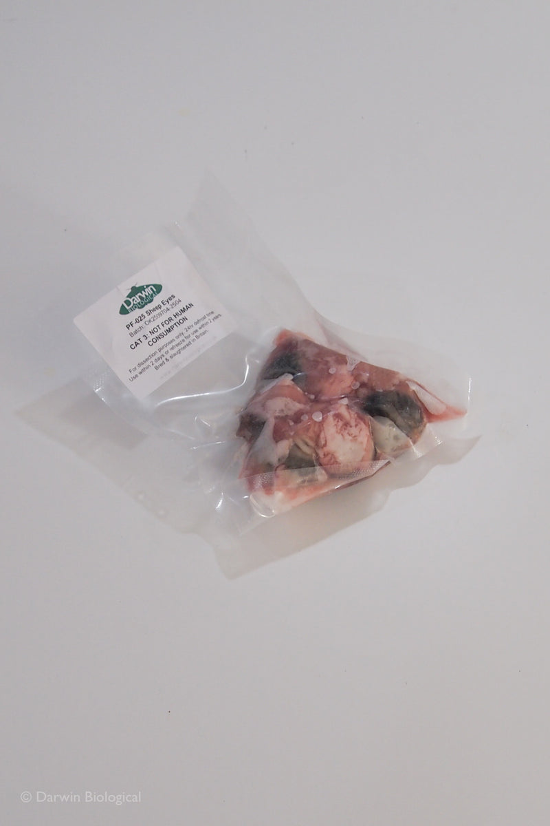 Frozen Specimens | Darwin Biological