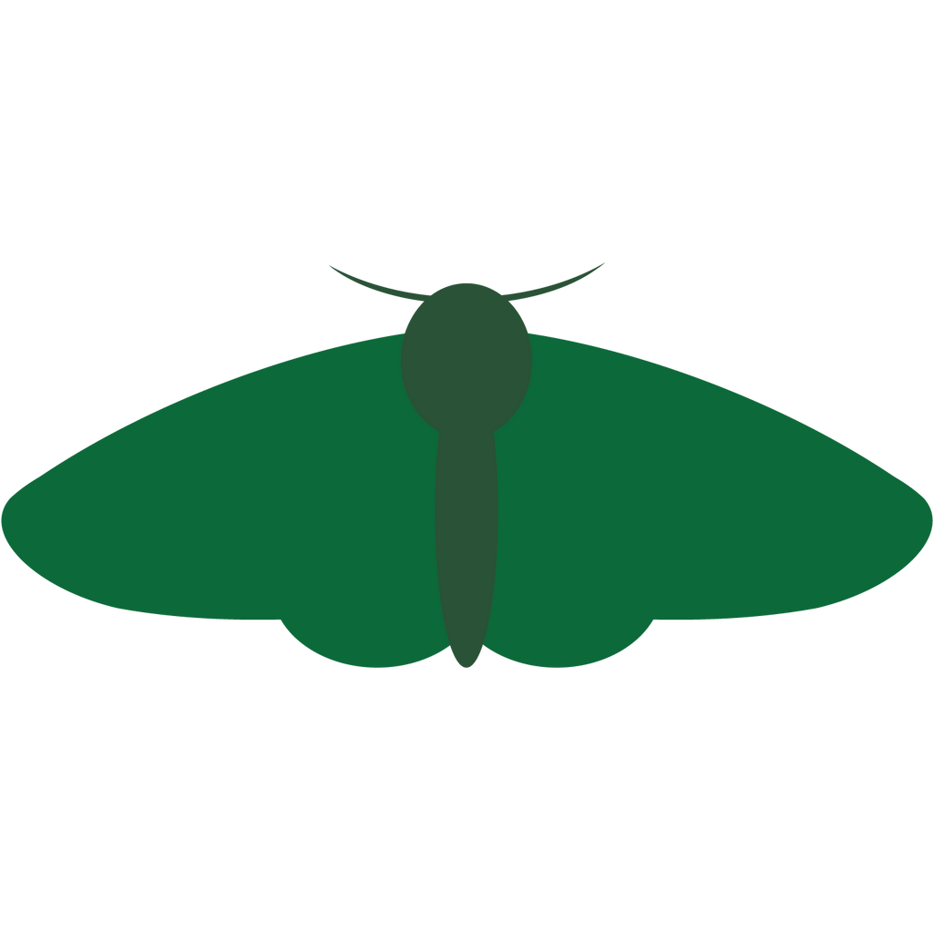 Preserved Bony Fish | Biology Supplies - Darwin Biological