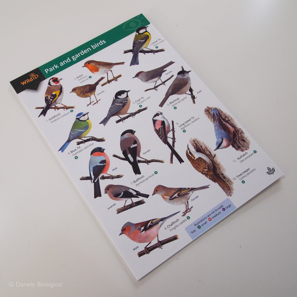 Park & Garden Birds Folding Guide – Darwin Biological