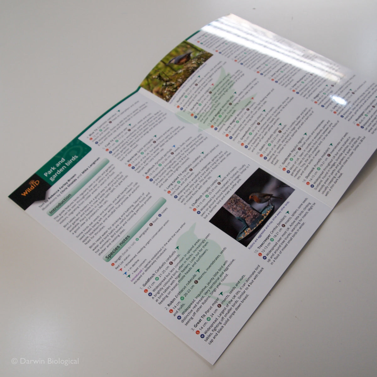 Park & Garden Birds Folding Guide – Darwin Biological