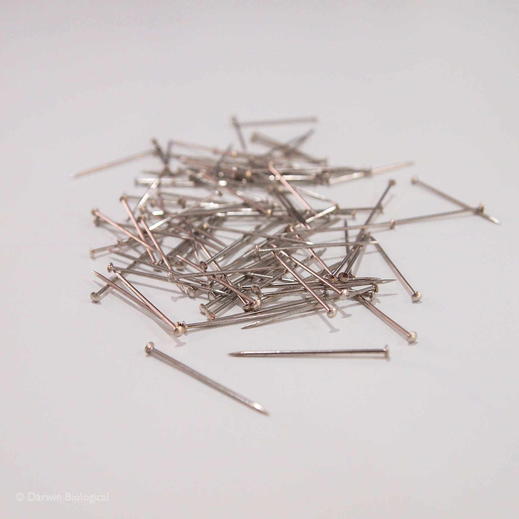Setting Pins | Biology Supplies - Darwin Biological