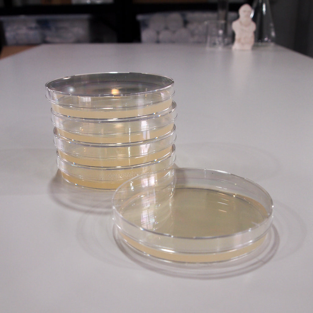 Nutrient Agar In Petri Dishes | Biology Supplies - Darwin Biological
