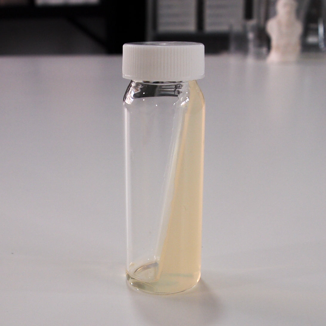 Nutrient Agar Slopes | Biology Supplies - Darwin Biological