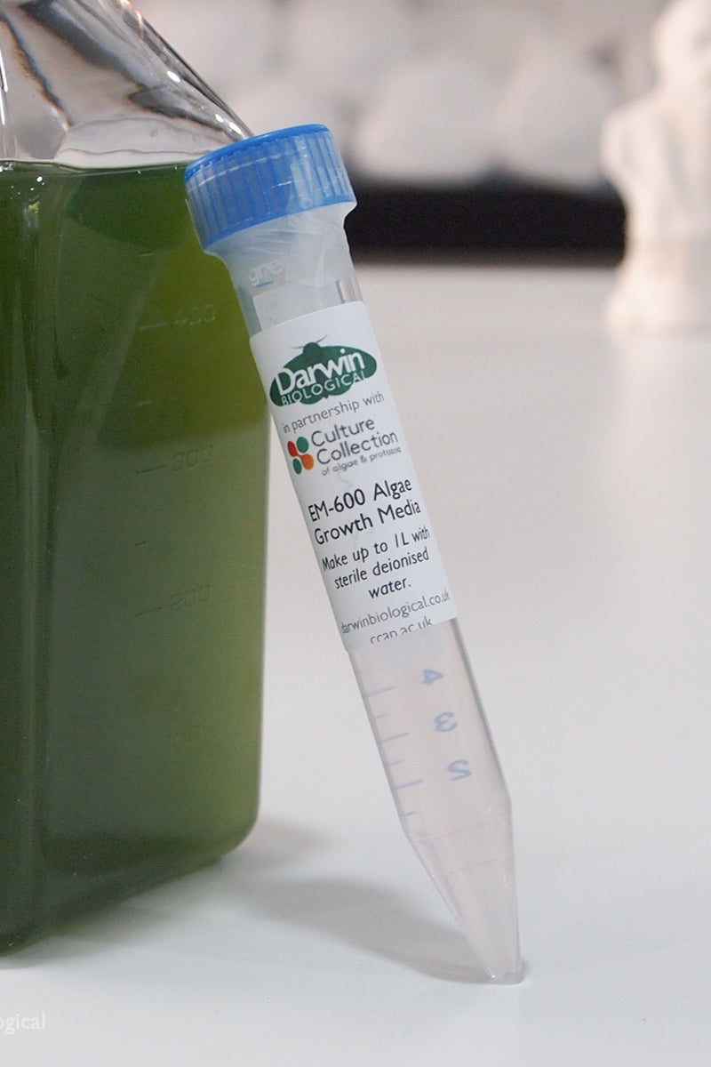 Botany Equipment | Darwin Biological