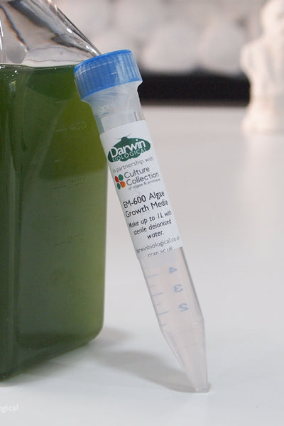 Botany Equipment | Darwin Biological