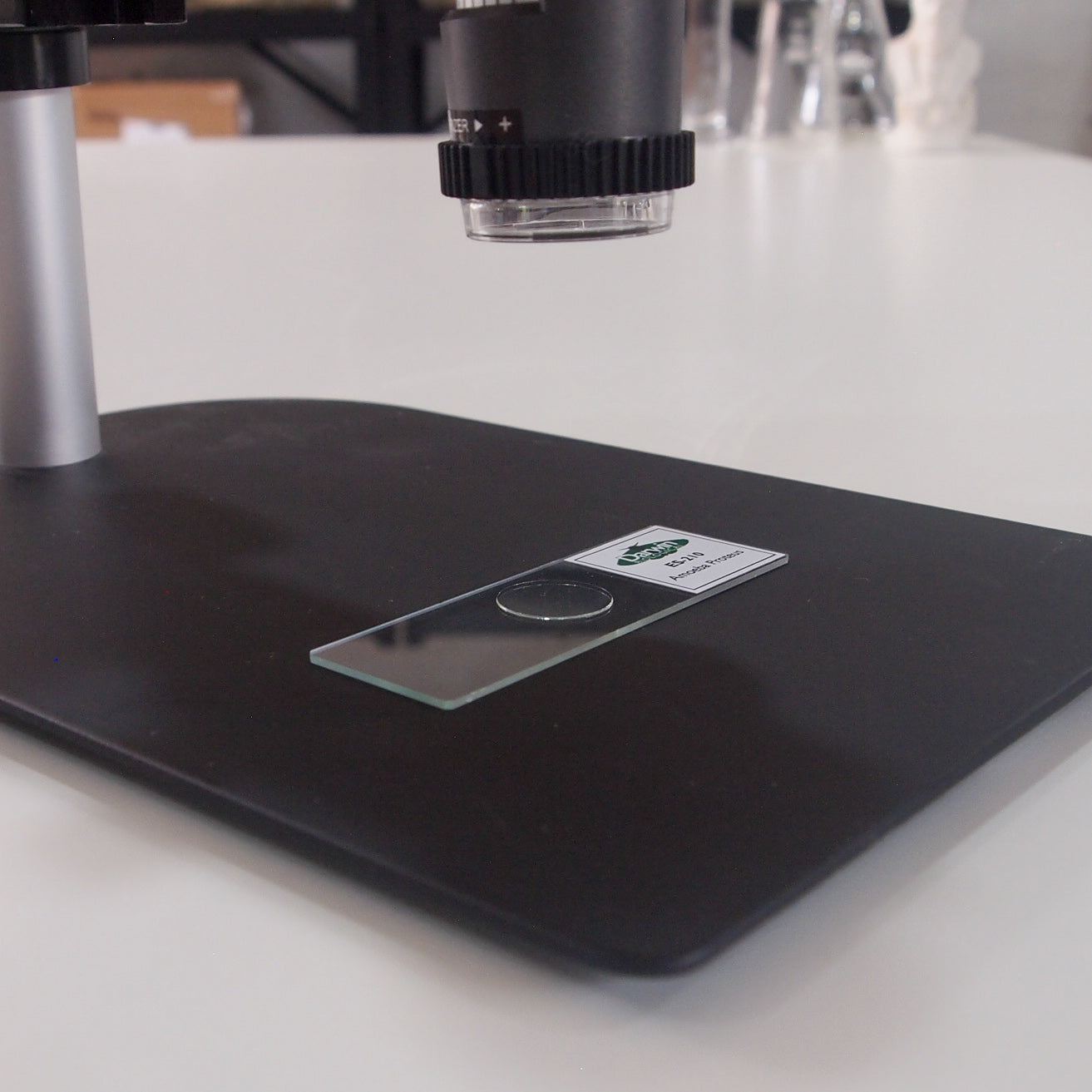 Squamous Epithelium Slide | Biology Supplies - Darwin Biological