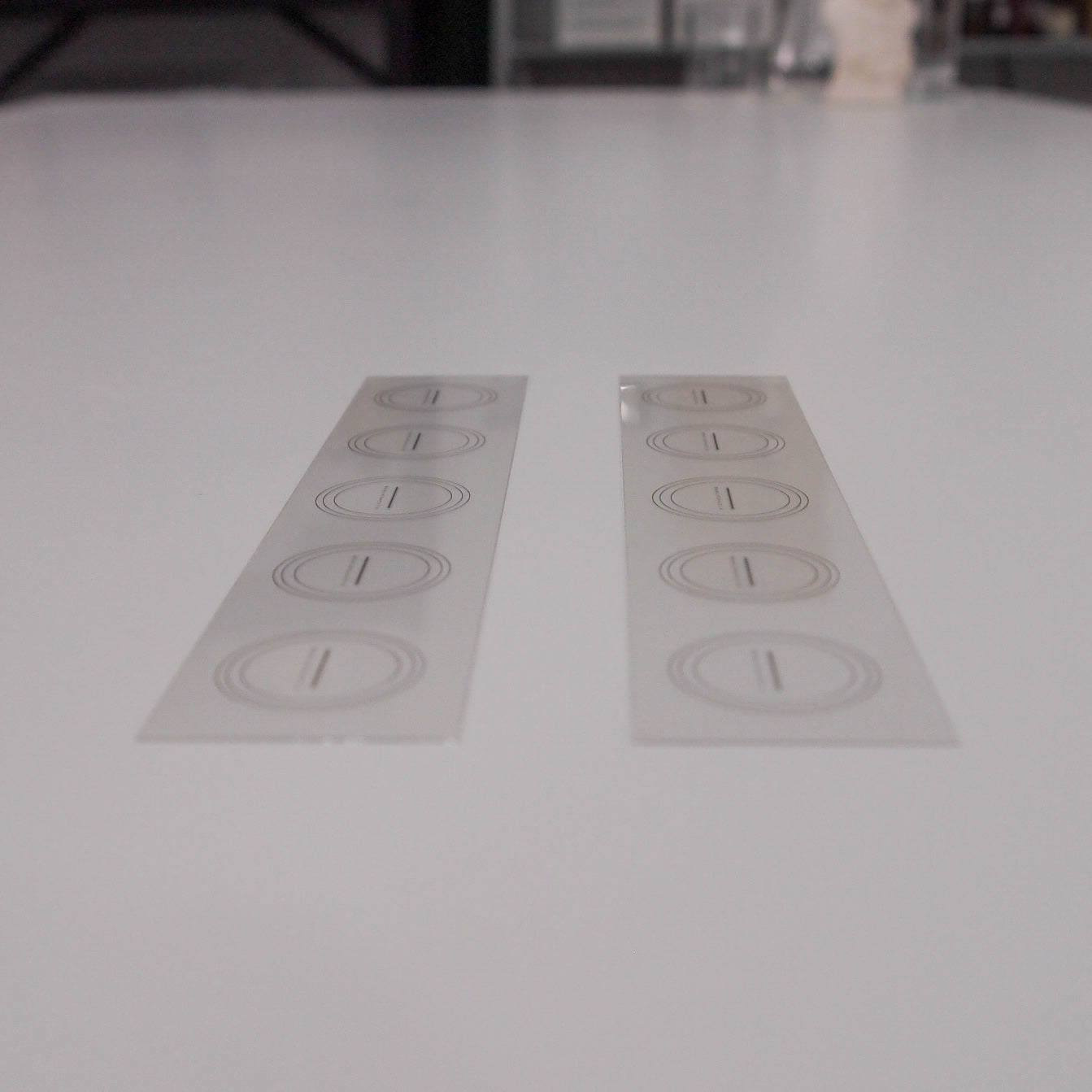 Plastic Graticules | Biology Supplies - Darwin Biological