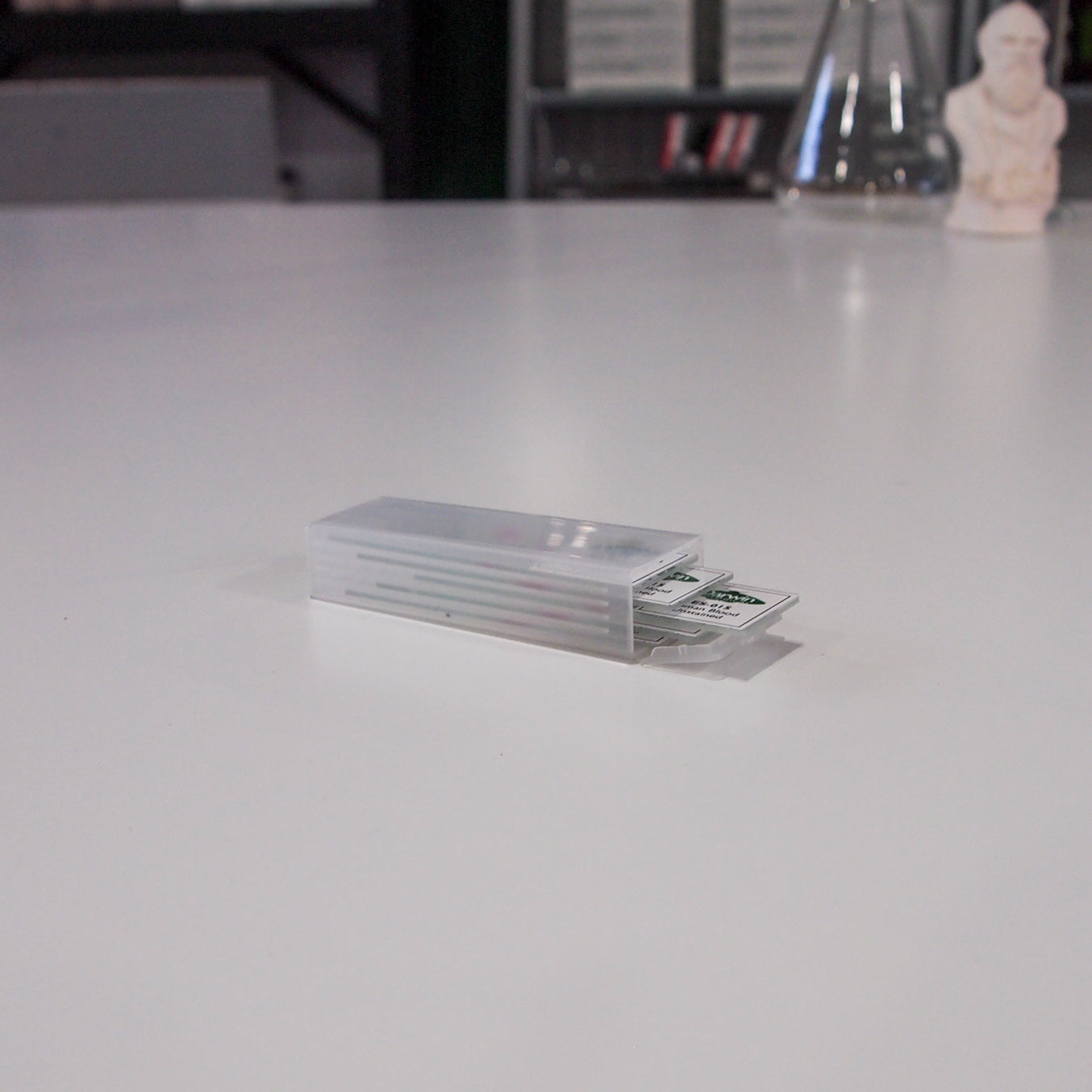 Allium Root Tip (Onion) Slide | Biology Supplies - Darwin Biological