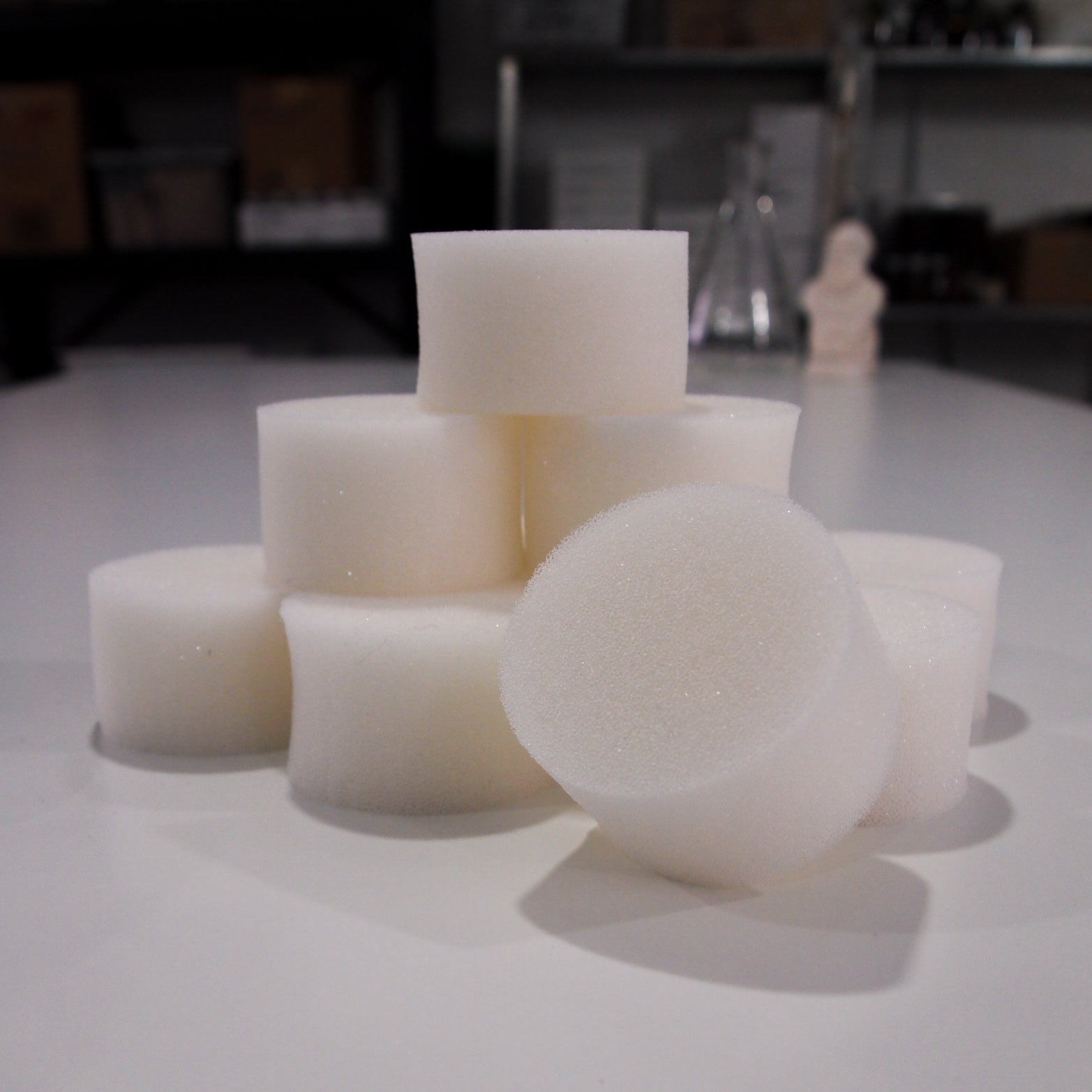 Drosophila Foam Bungs | Biology Supplies - Darwin Biological
