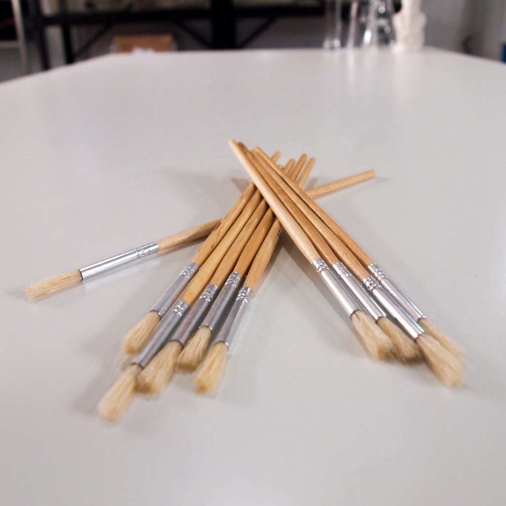 Drosophila Sorting Brushes | Biology Supplies - Darwin Biological