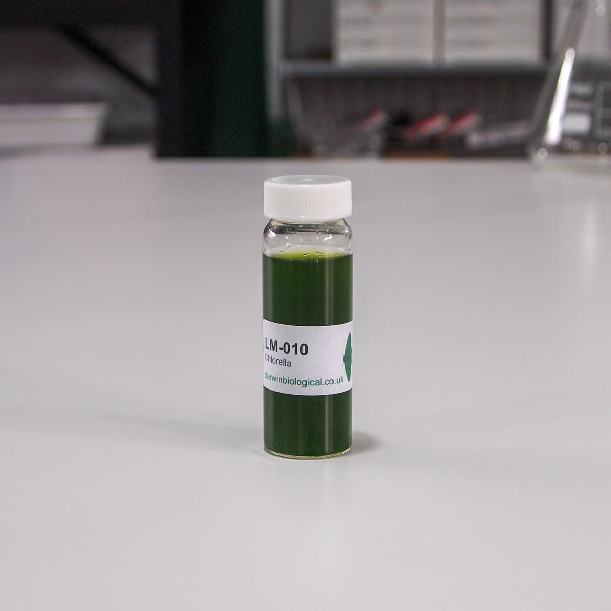 Chlorella vulgaris | Biology Supplies - Darwin Biological