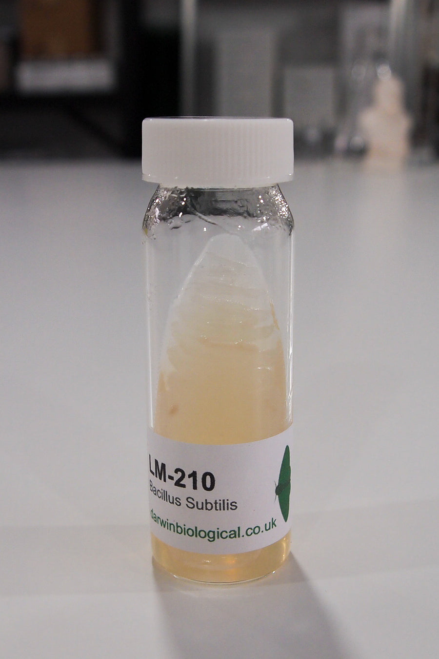 Bacteria Cultures | Darwin Biological