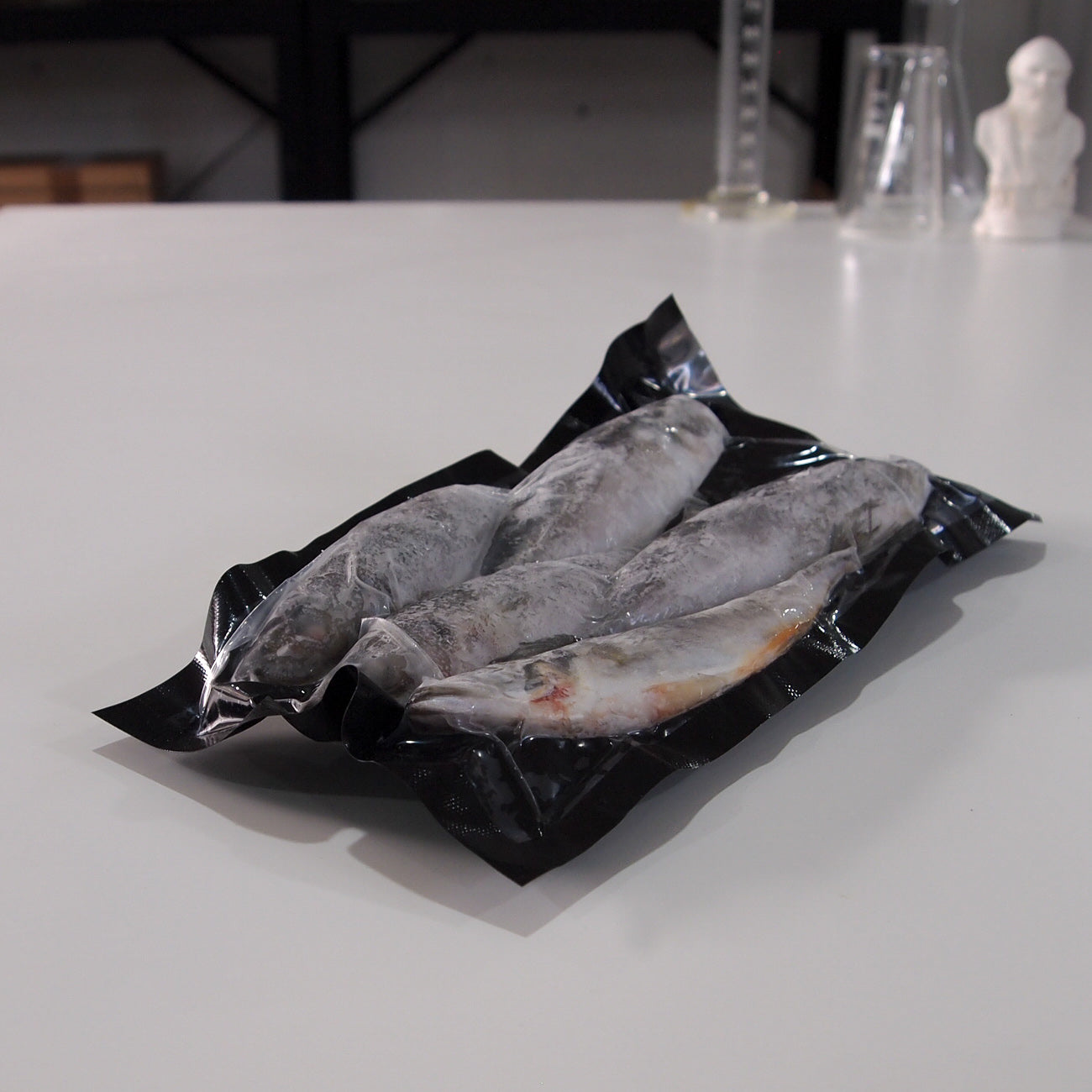 Frozen Bony Fish | Darwin Biological